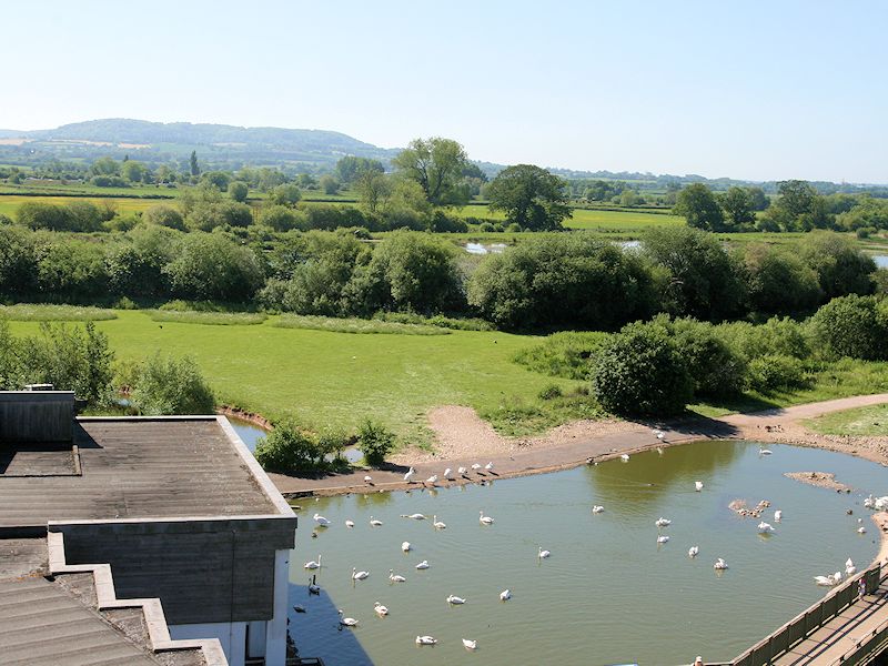 SLOANE TOWER - WWT SLIMBRIDGE WETLAND CENTRE