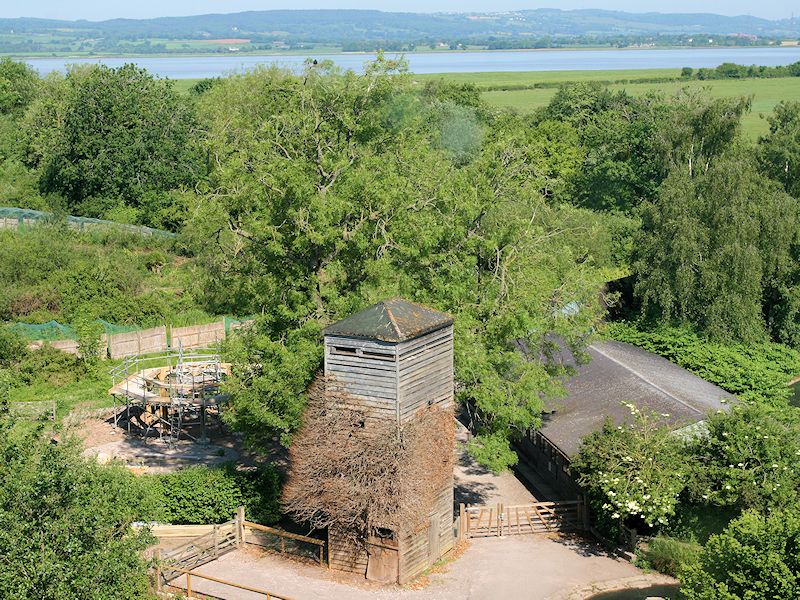 SLOANE TOWER - WWT SLIMBRIDGE WETLAND CENTRE