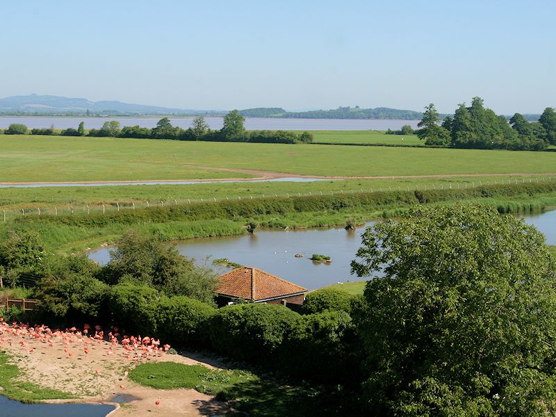 SLOANE TOWER - WWT SLIMBRIDGE WETLAND CENTRE